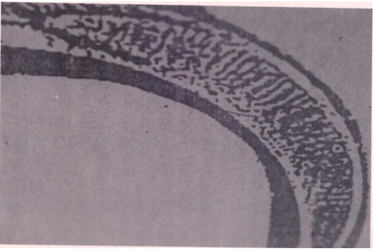 The Effects Of Magnesium Oxide On The Quality Of The Electric Heaters